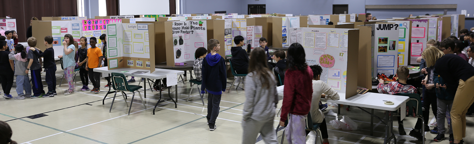 Fostering Scientific Inquiry and Critical Thinking at Science Fair ...